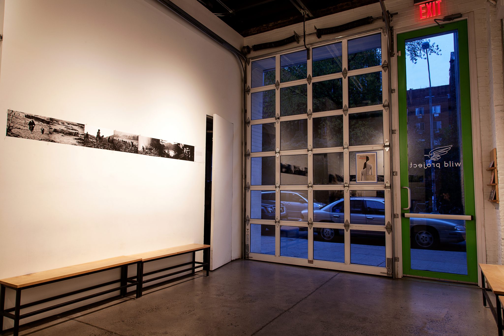 The wild project - thewildproject