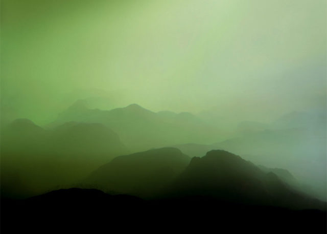 Elisabeth Bernstein - thewildproject