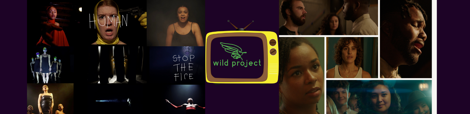 wildprojectTV - thewildproject